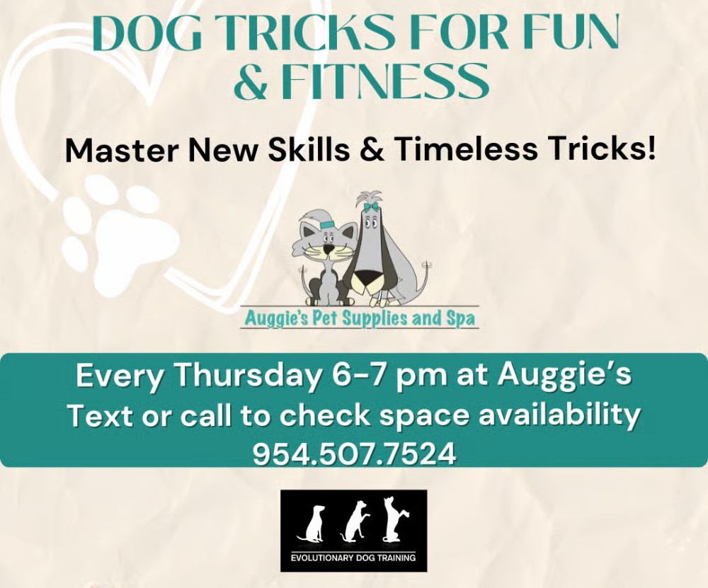 Dog Events - Local Dog-Friendly Activities In Broward County